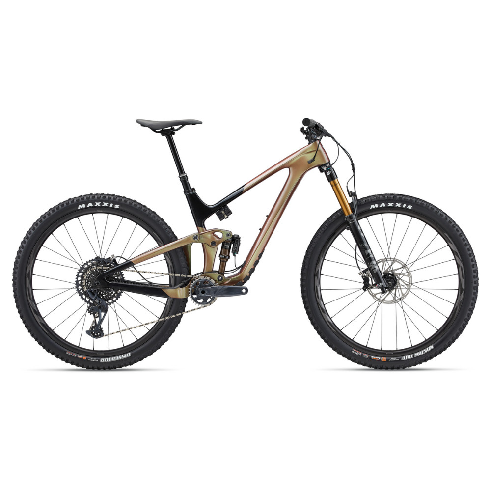 Giant Trance X Advanced Pro 29 1 | Bike | 0% Zins | Schweiz