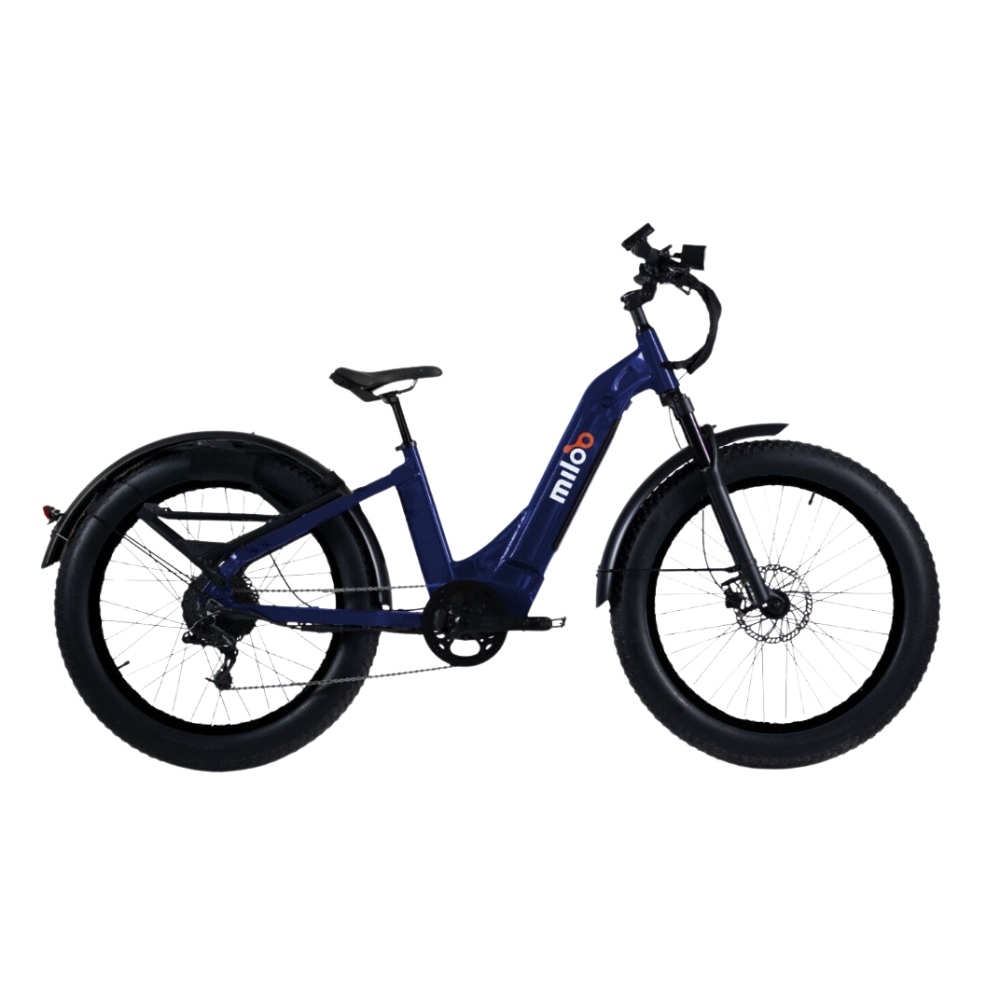 Miloo Classy Beast | E-Bike Schweiz | 0 % Ratenzahlung